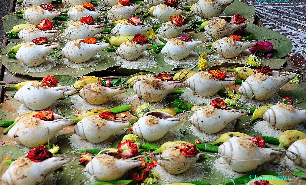 HinduPriest · Hindu Priest of Colorado